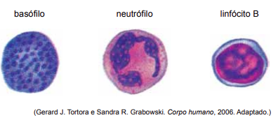 Questão As imagens representam alguns elementos figurados com funções ...