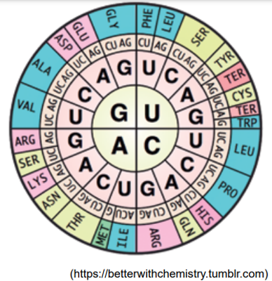 Questão O diagrama ilustra a correspondência entre os 20 tipos de ...