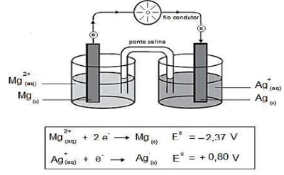 Questão A figura abaixo apresenta a representação de uma célula ...