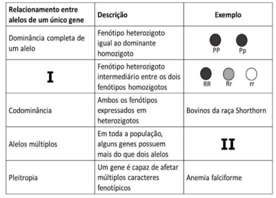 Exemplo De Biologia De Alelos Quer Aprender Tudo Isso De Forma