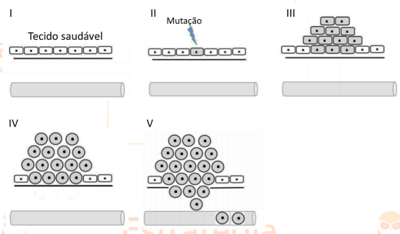 Questão O esquema abaixo apresenta as etapas envolvidas em um processo ...